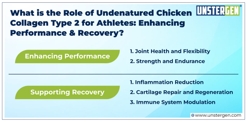 Interesting Facts about Undenatured Chicken Collagen Type II